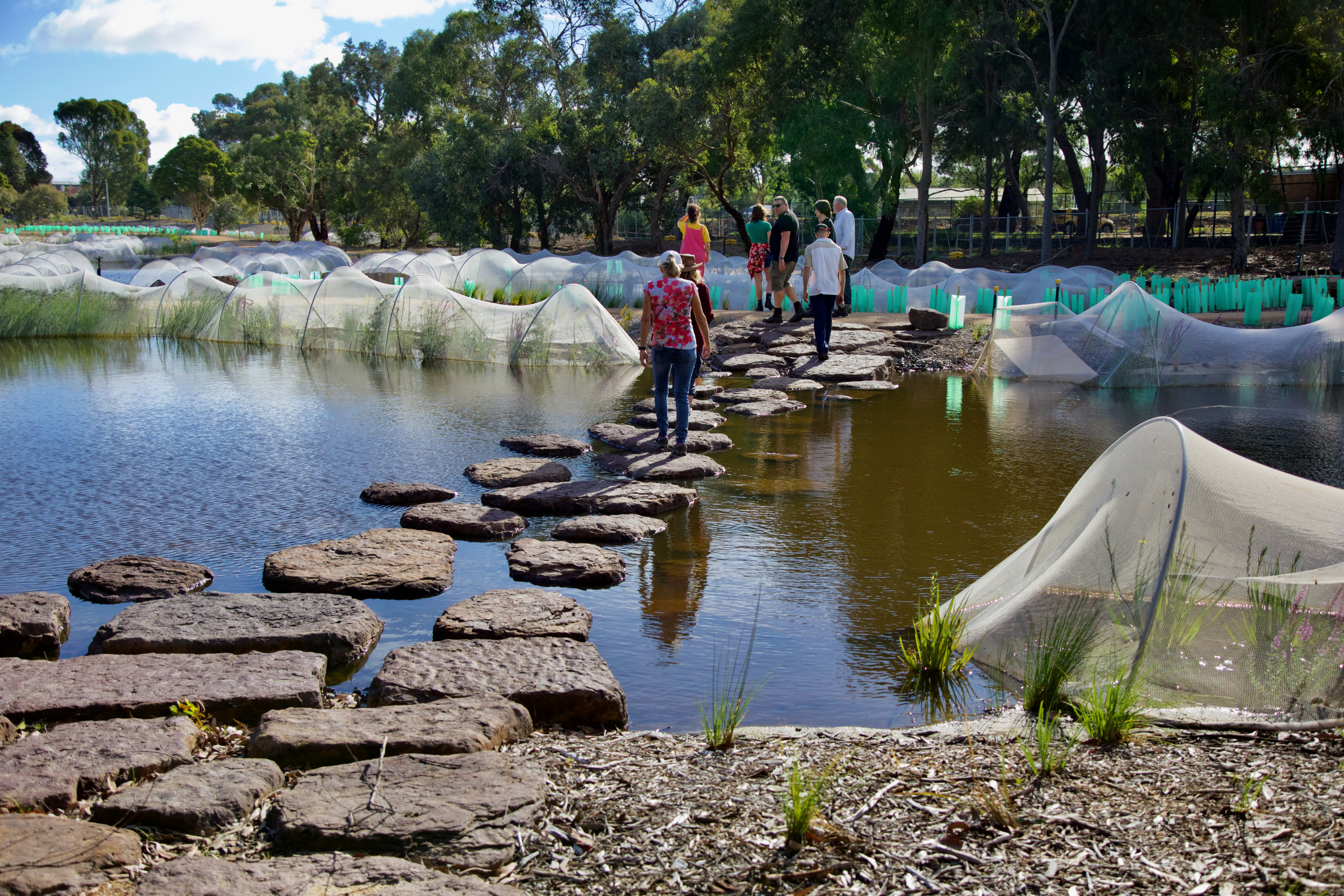 Visit the Chain of Ponds – Yalukit Willam Nature Association Inc