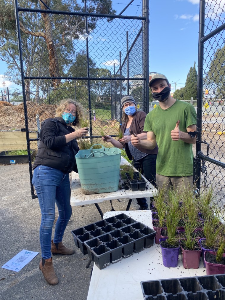 YWNA Plant Lab and SPA update- a pause and a reboot! – Yalukit Willam ...
