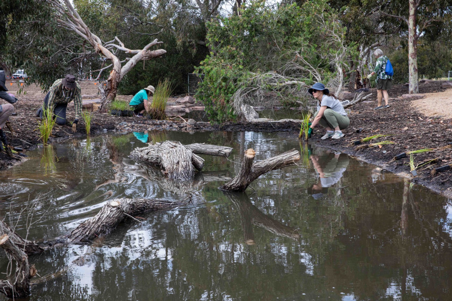 YWNA MOU agreement with Bayside City Council – Yalukit Willam Nature ...
