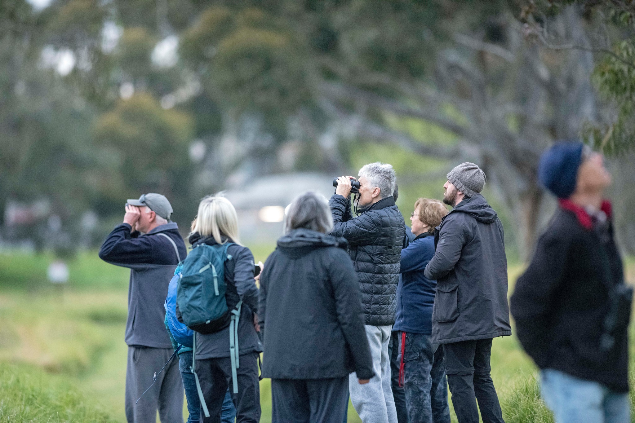 YWNA August bird survey – Yalukit Willam Nature Association Inc